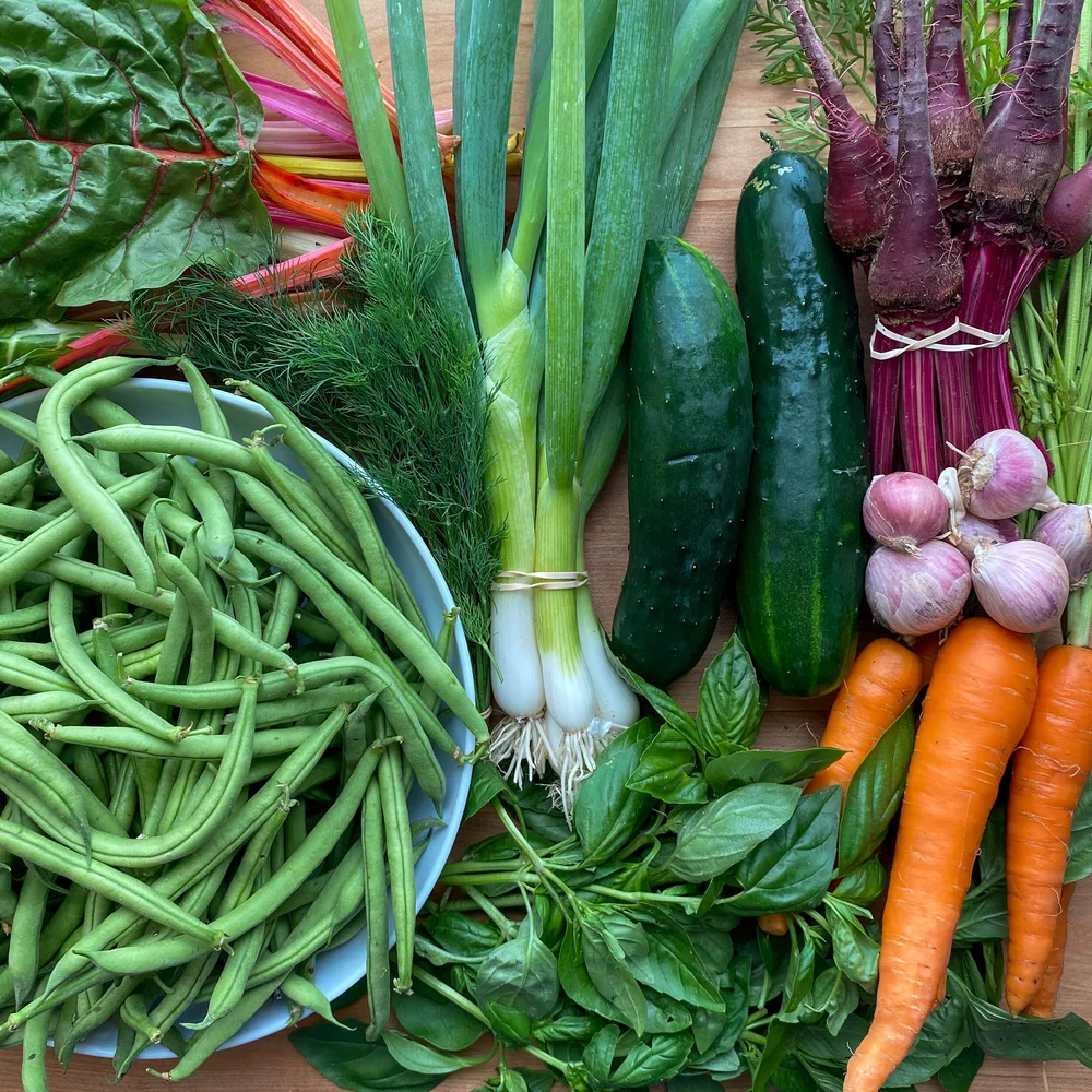 Cincinnati Vegetable CSA — Turner Farm