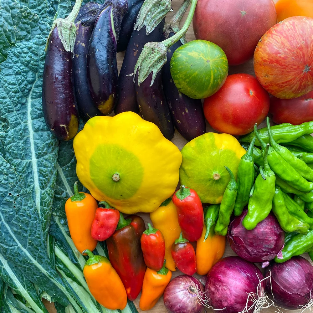Cincinnati Vegetable CSA — Turner Farm