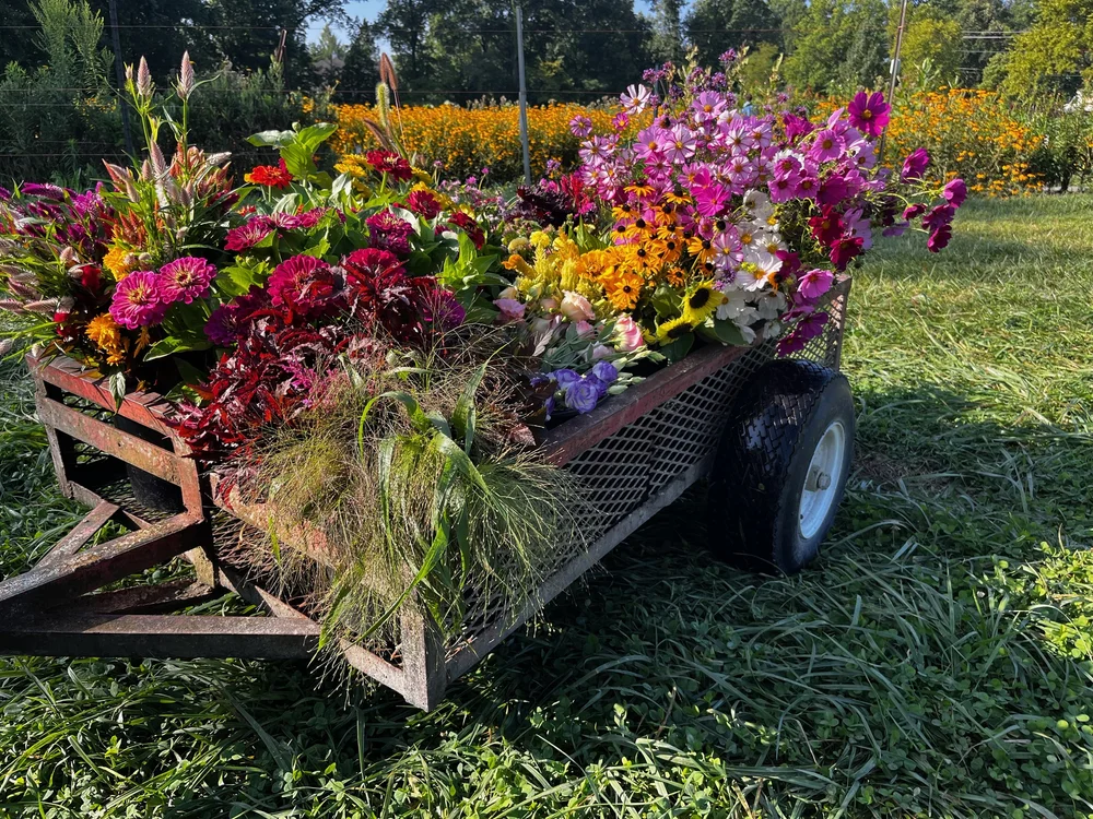 Events — Turner Farm