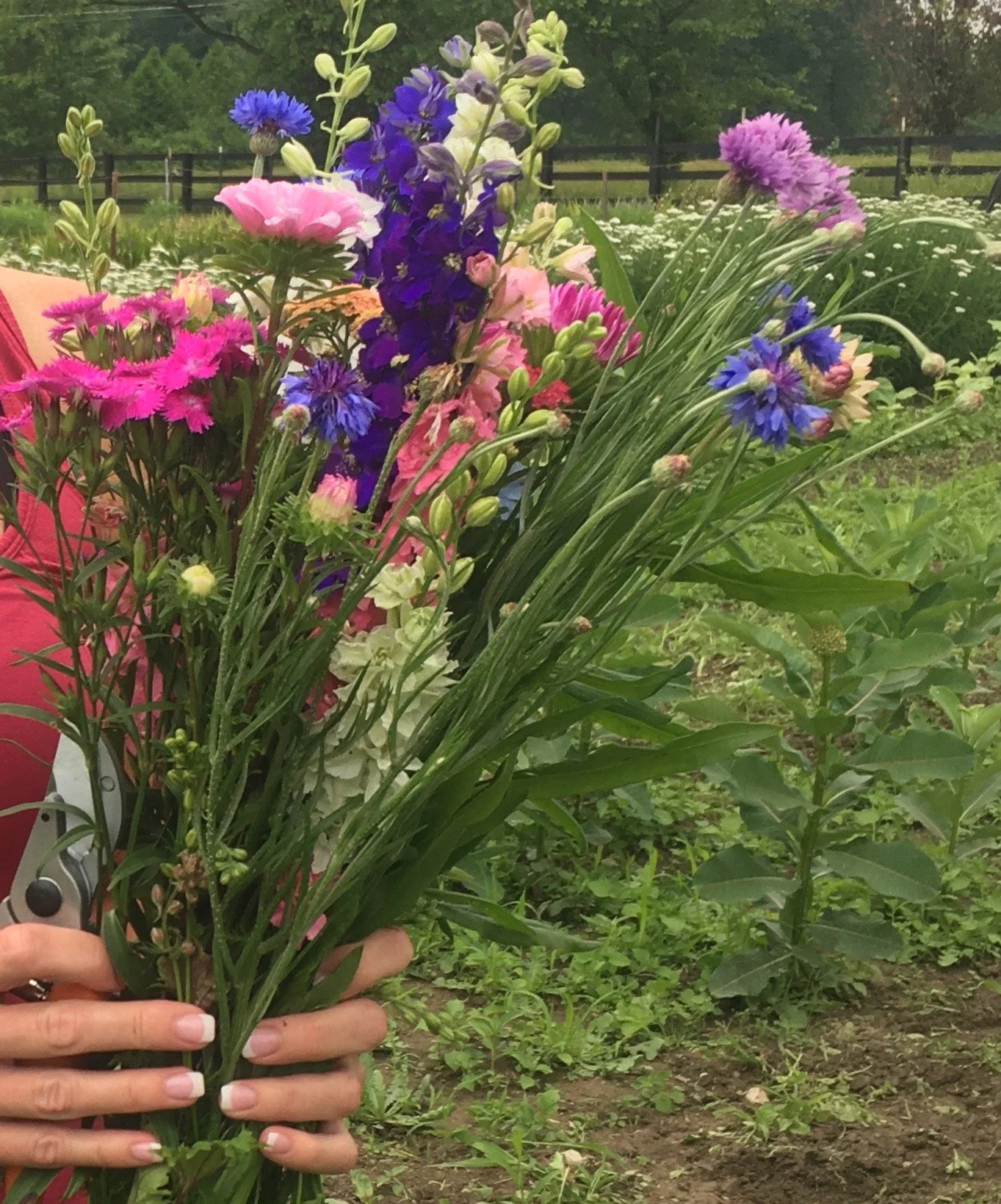 Events — Turner Farm