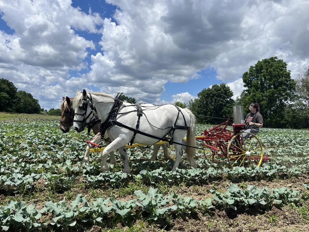 Events — Turner Farm