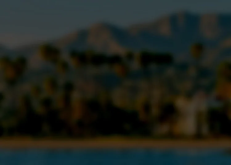 Turner Foundation | Join Our Mission Today