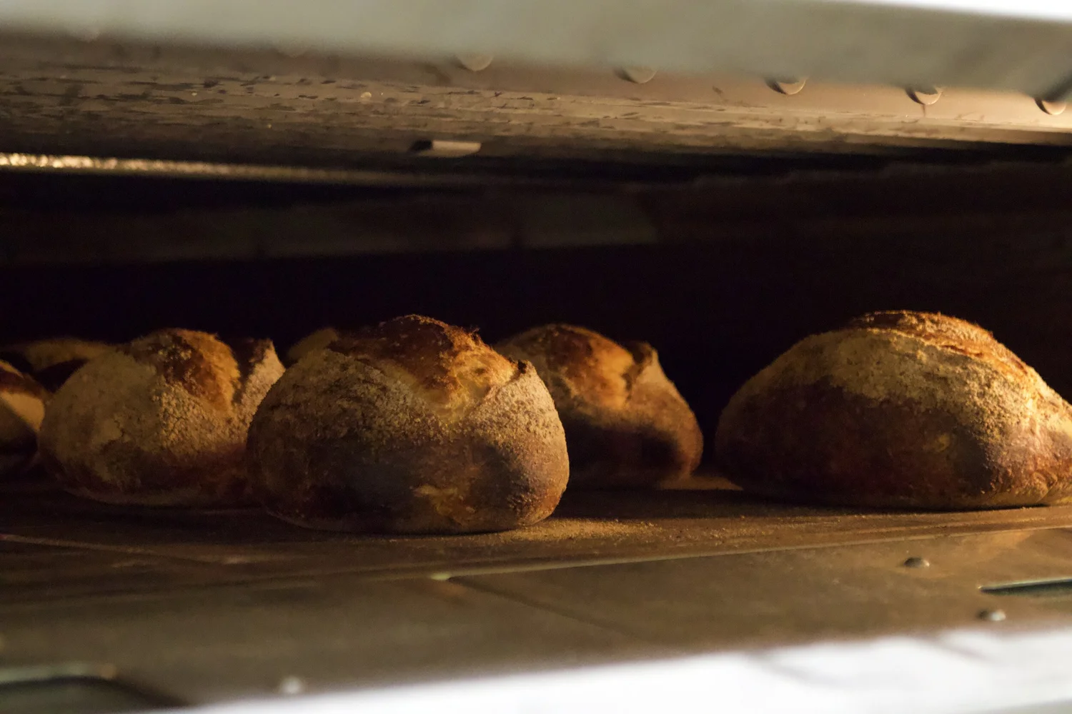 Thorough Bread and Pastry