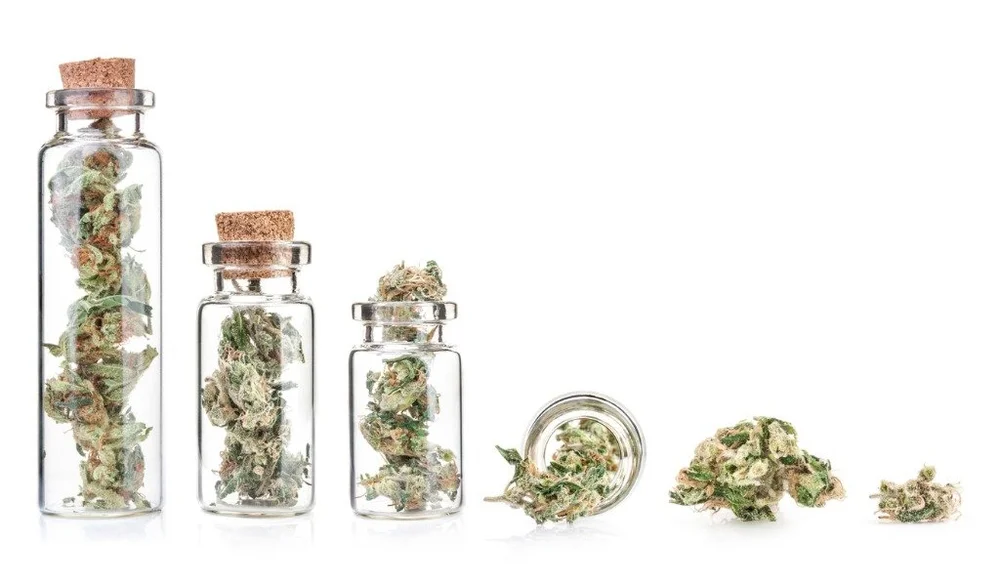 Understanding the Risks of High Potency Marijuana Use and Its Effects ...