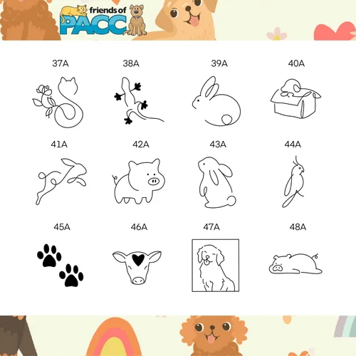 Promotions and Flash Sheets — Spark Project Collective