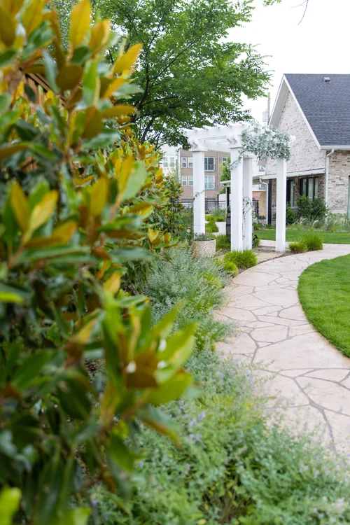 Photography Studio Rental Space Side A — Lemon Drop Studios