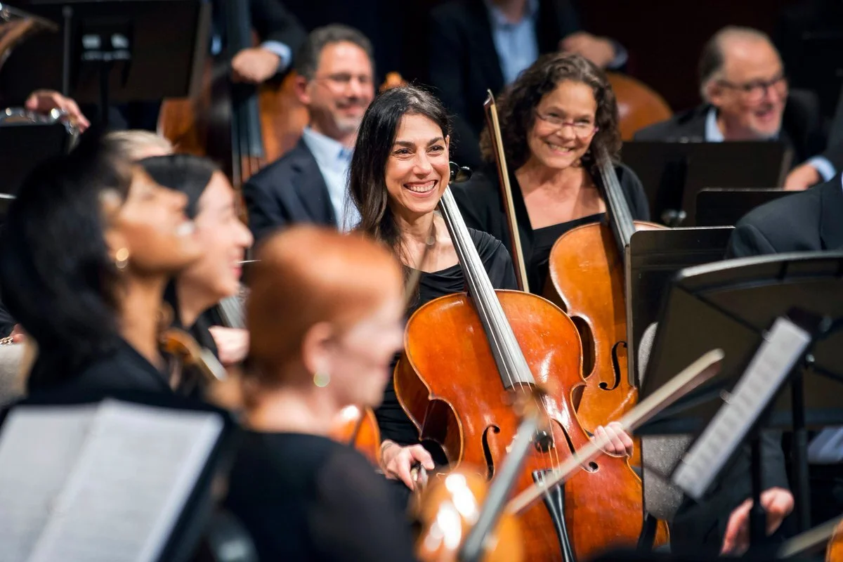 Symphony Spot - Education Directory — Symphony Spot