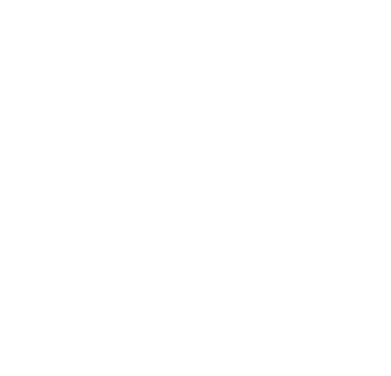 Project Vision Hawaii