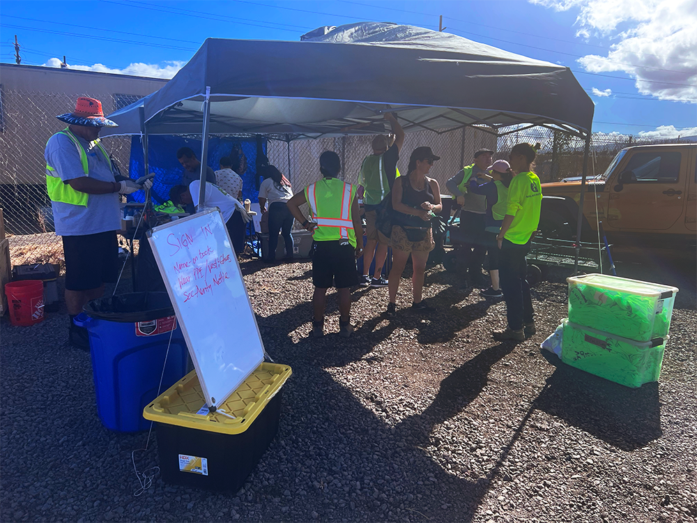 Maui Strong — Project Vision Hawaii