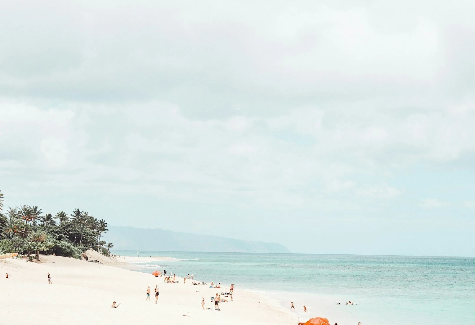 Health Insurance Assistance — Project Vision Hawaii