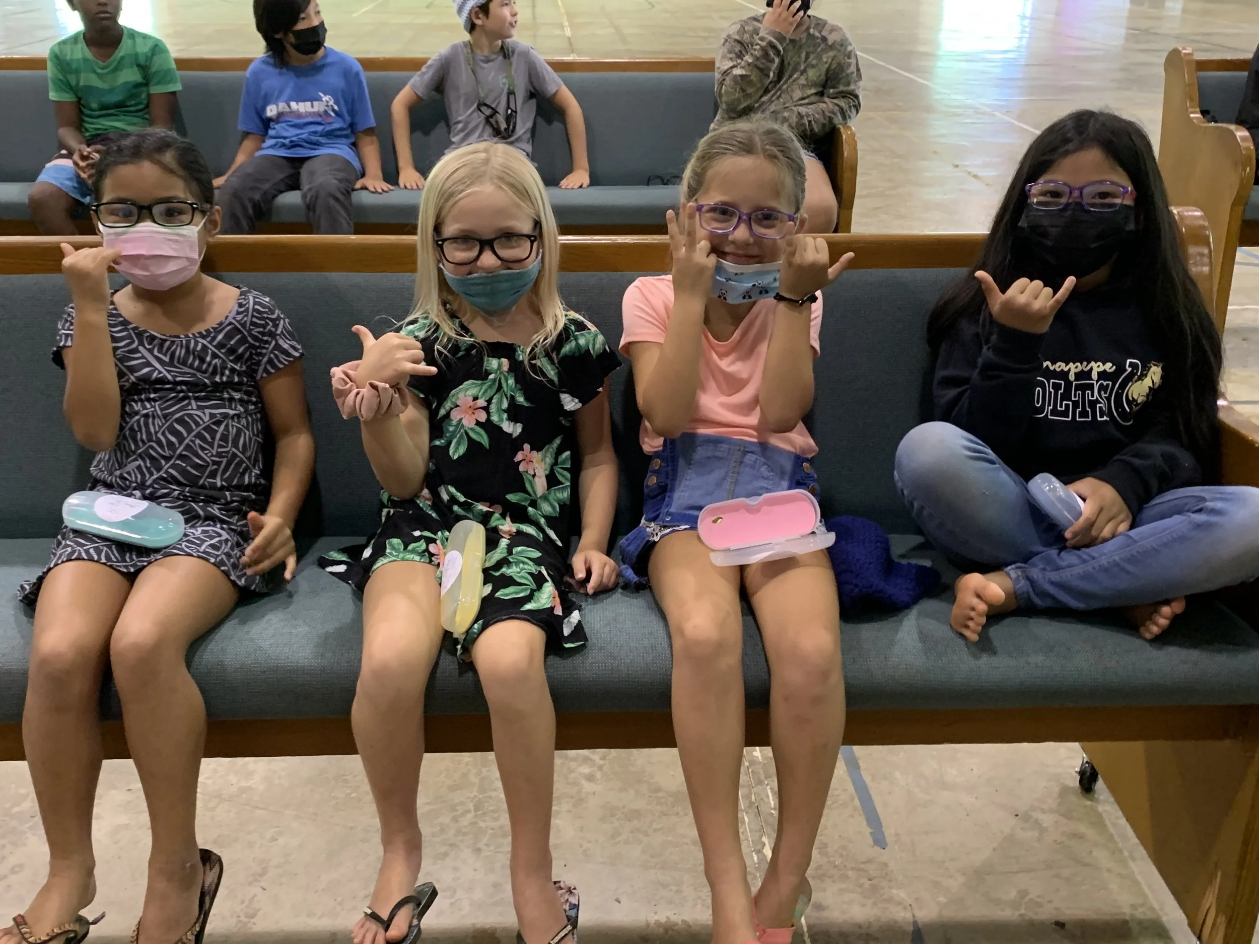 Project Vision Hawaii