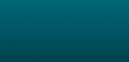 Project Vision Hawaii