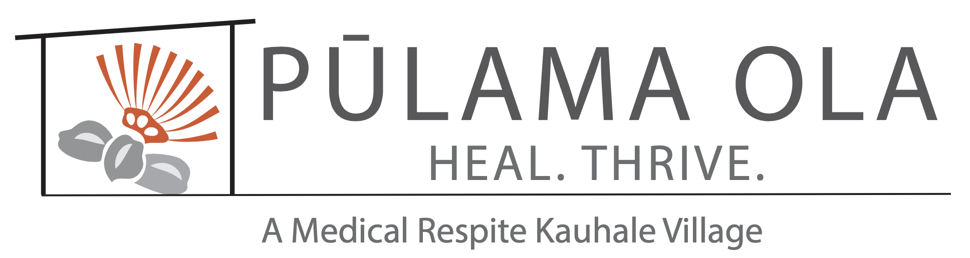 Project Vision Hawaii