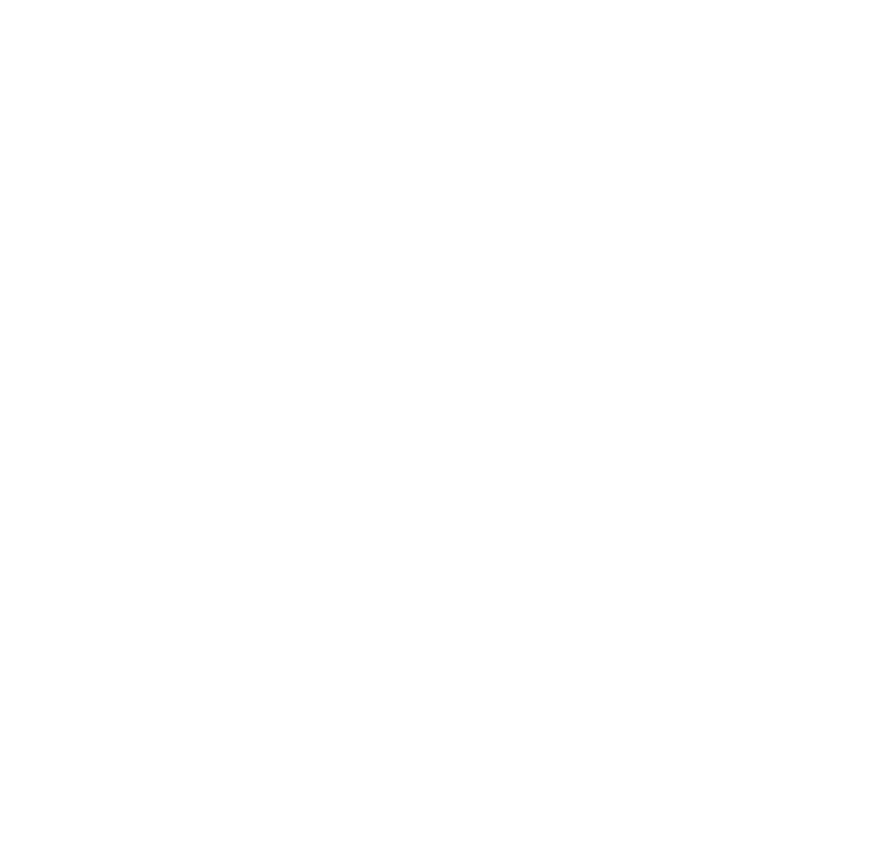 Project Vision Hawaii