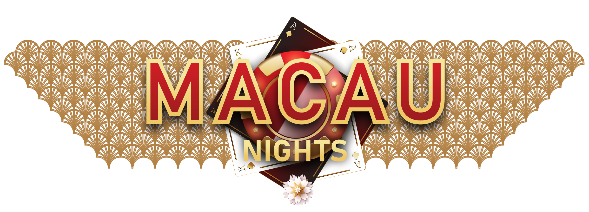 Project Vision Hawaii