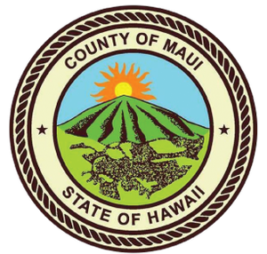 Maui Strong — Project Vision Hawaii