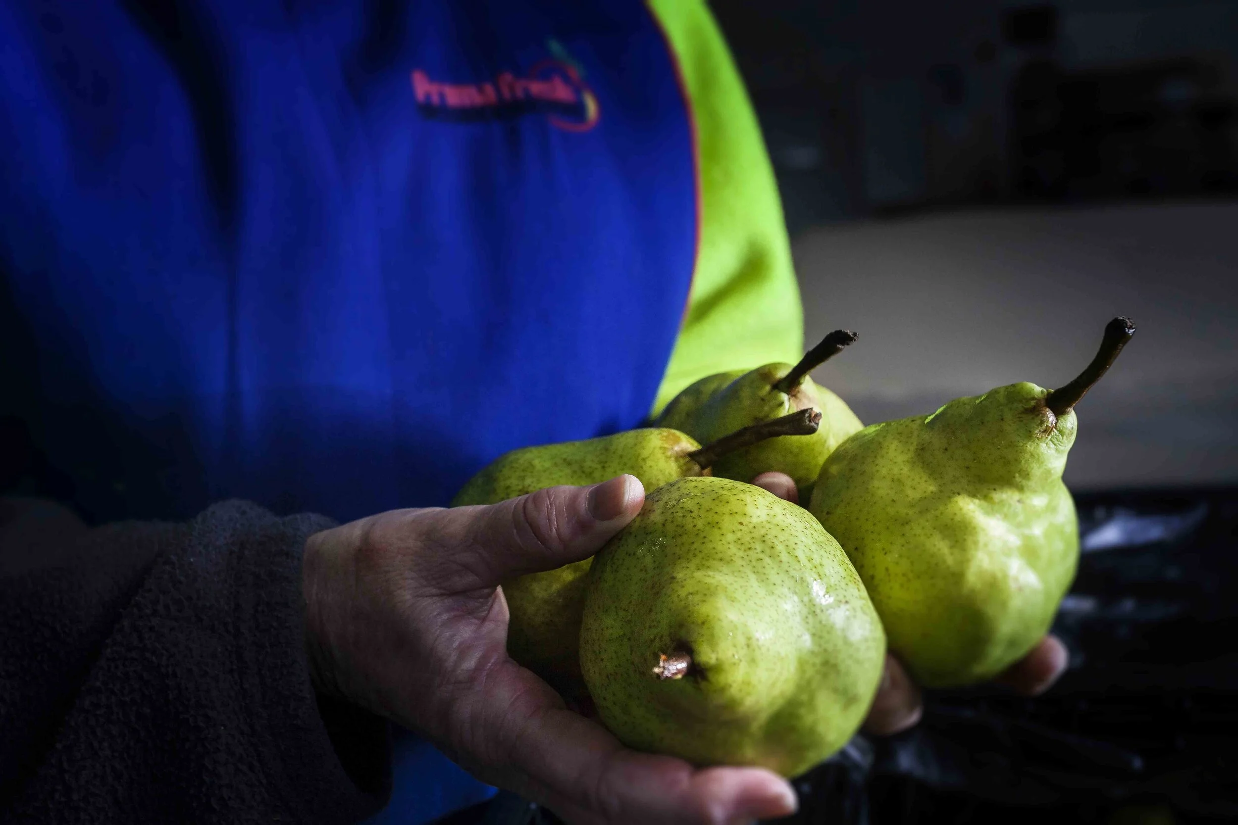 Amaroo — FMC Trading