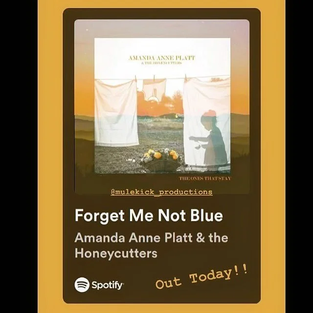 Amanda Anne Platt & The Honeycutters