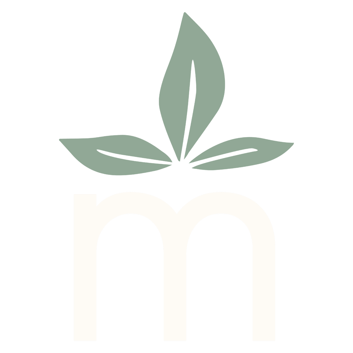 Fern — Milgro Nursery