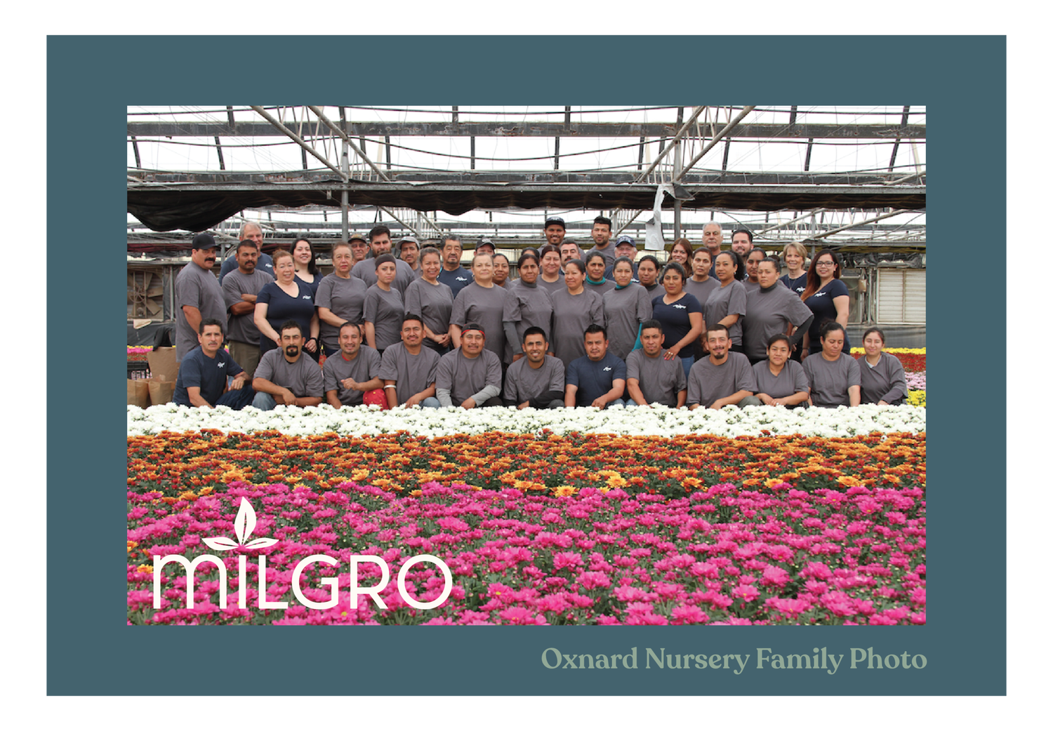 Our Team — Milgro Nursery