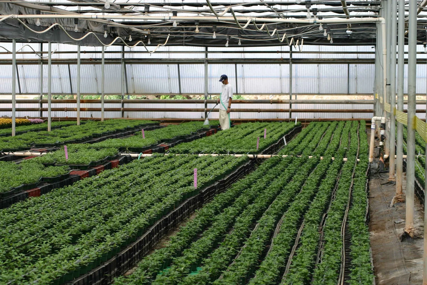 Our Team — Milgro Nursery