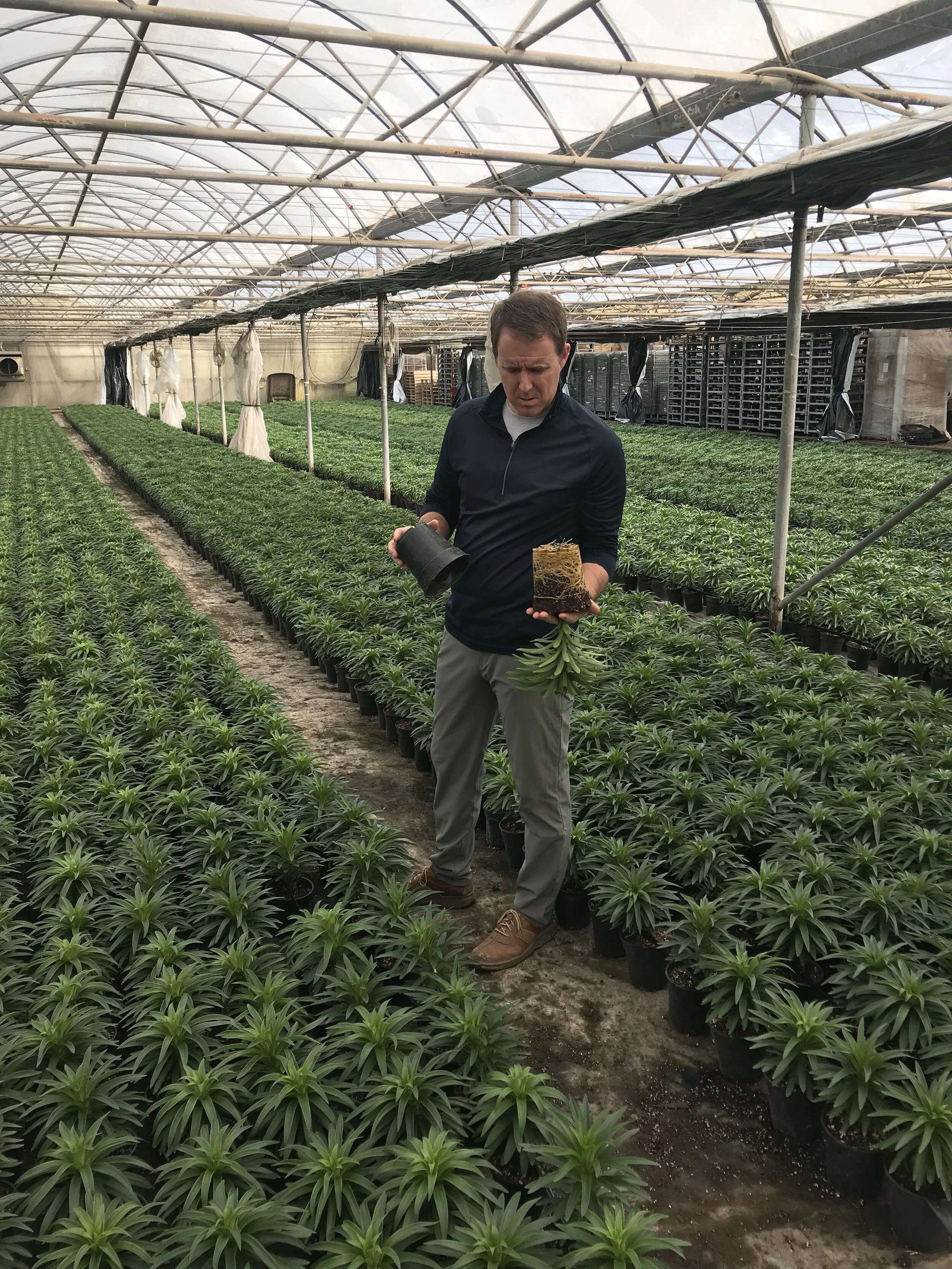 Our Team — Milgro Nursery