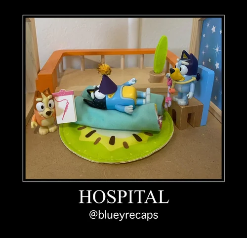 #1.2 Hospital — Bluey Recaps