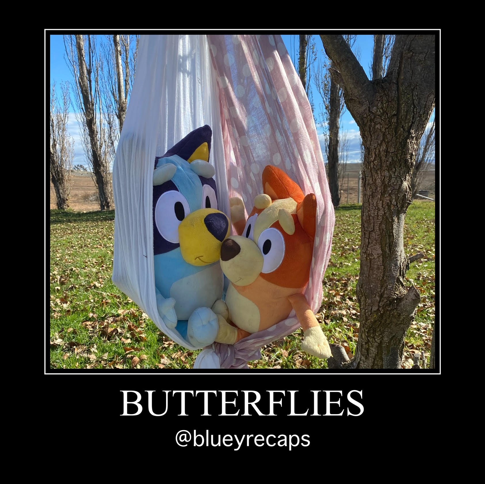 #1.15 Butterflies — Bluey Recaps