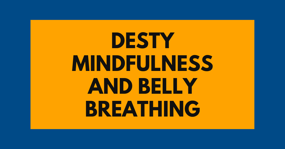 STRESS FREE RETURN TO SCHOOL — Education DESTY