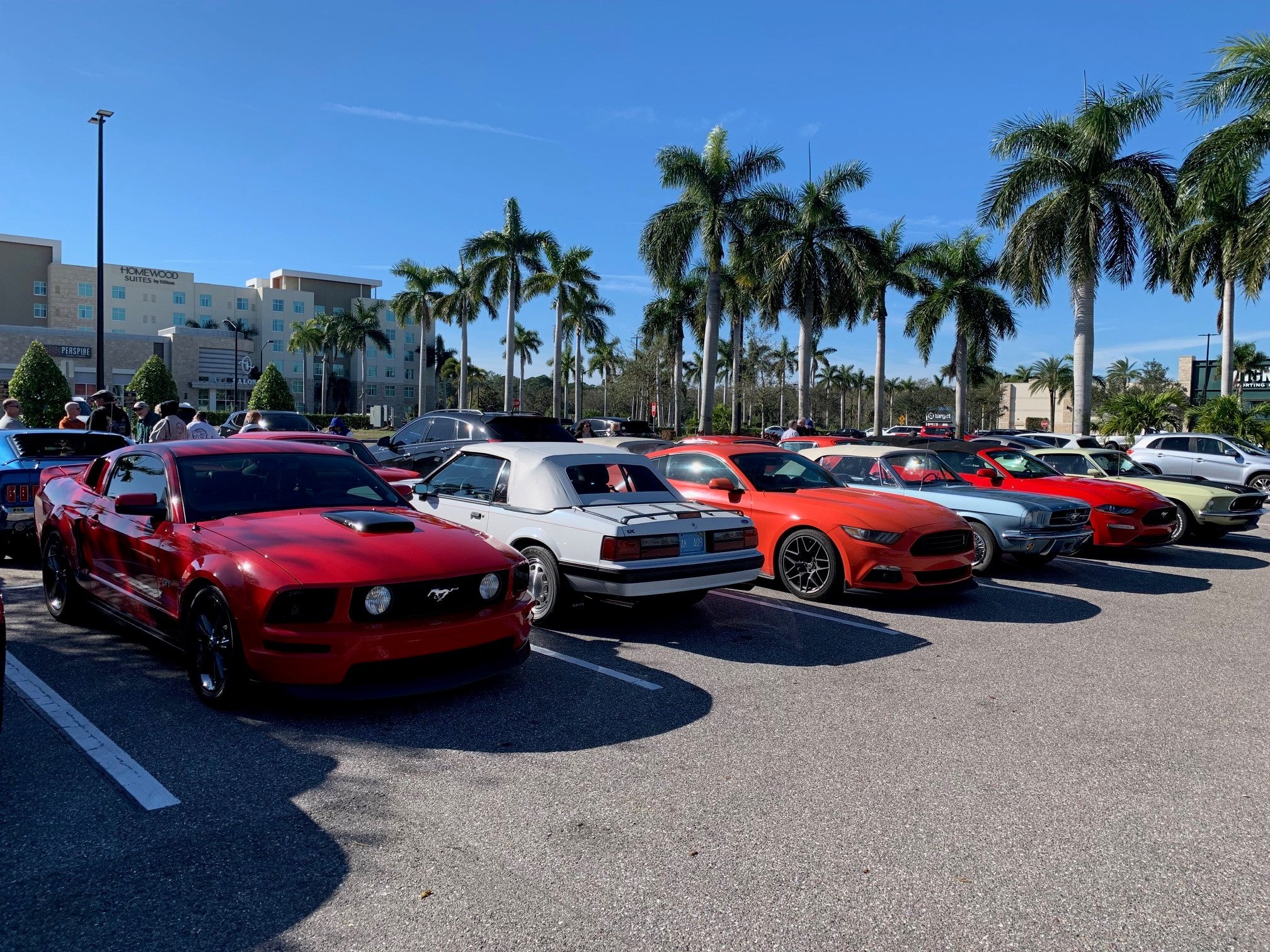 Events — Mustang Club Of West Central Florida