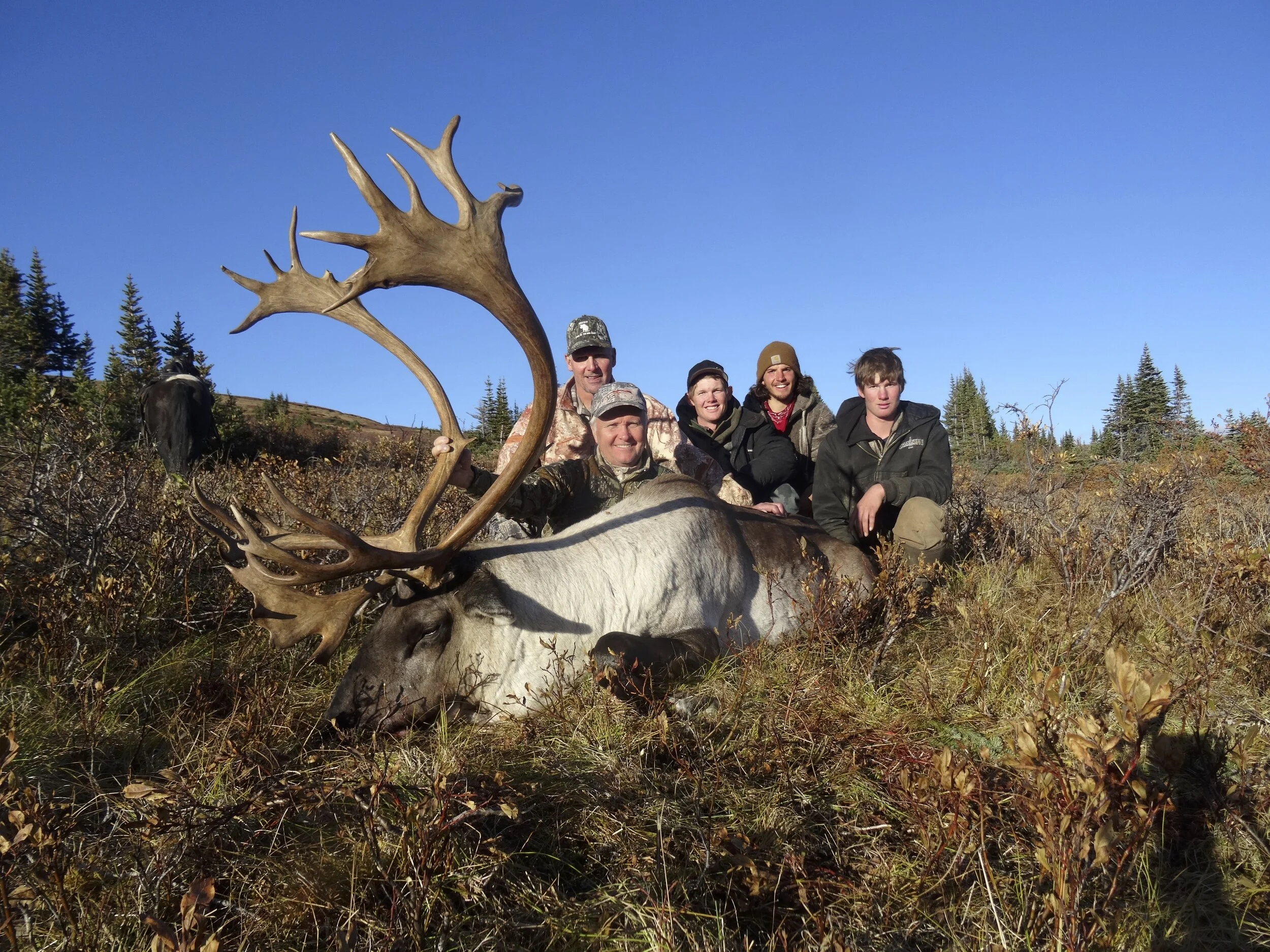 Hunting | Spatsizi River Outfitters