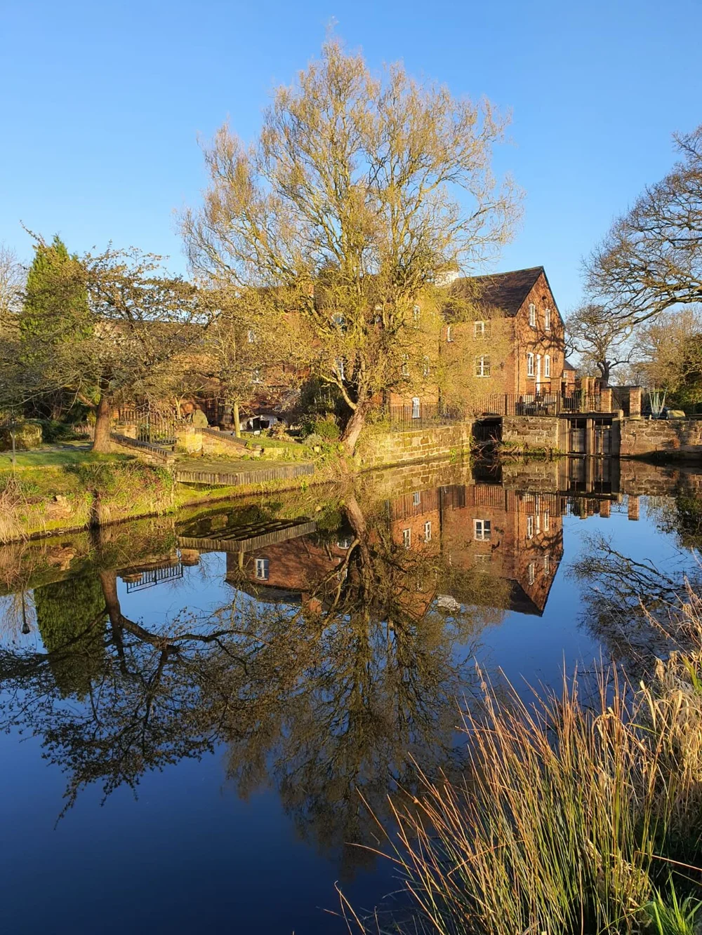 About Us — The Lakehouse at Coddington Mill