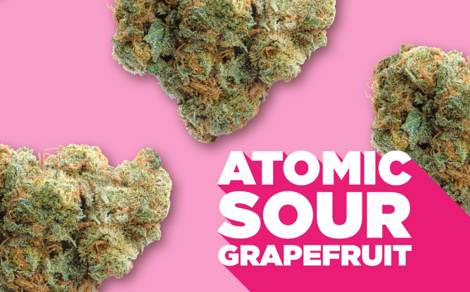 Spinach - Atomic Sour Grapefruit — Higher Limits Cannabis Company