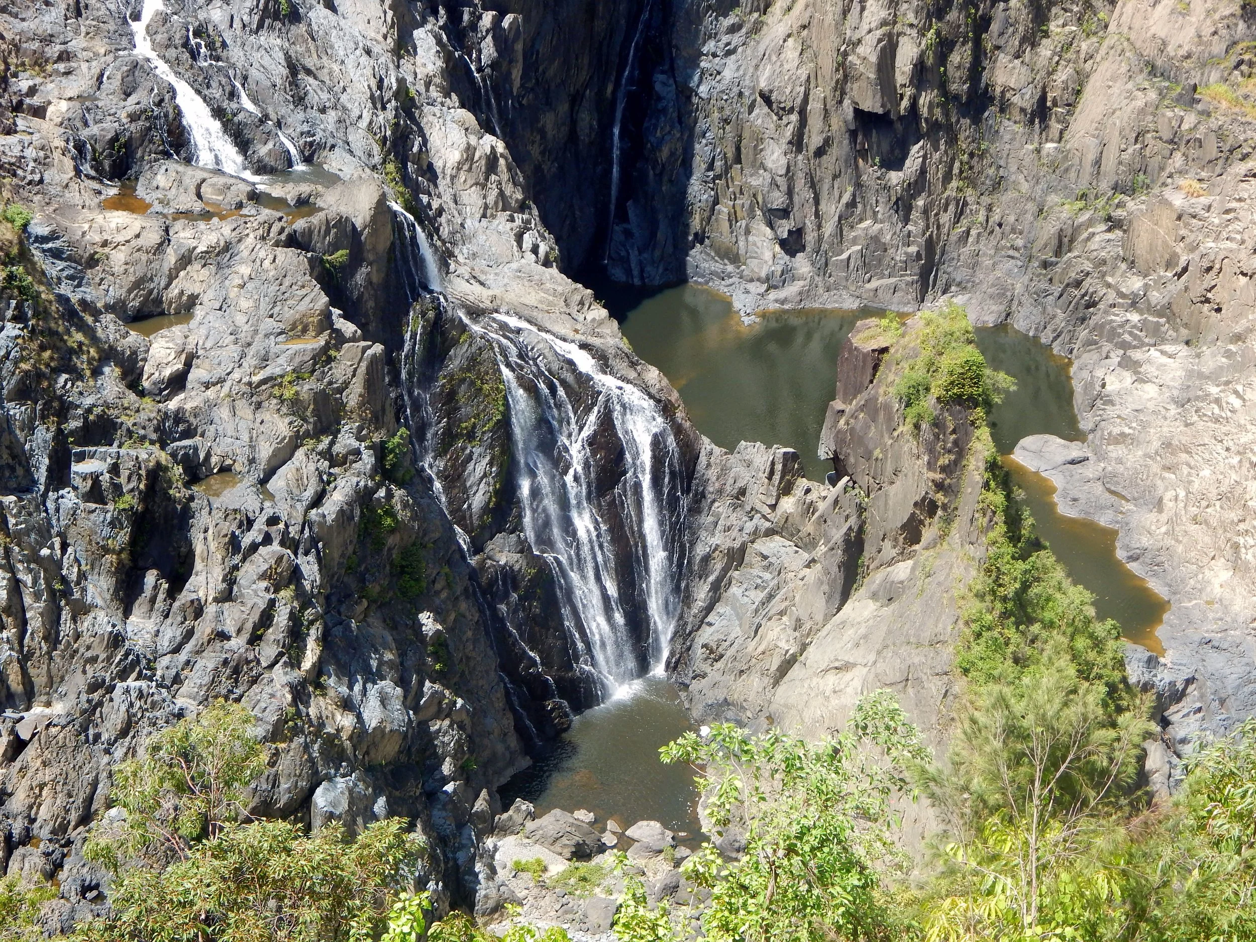 Things to Do in Kuranda, Australia — Planned Wanderings