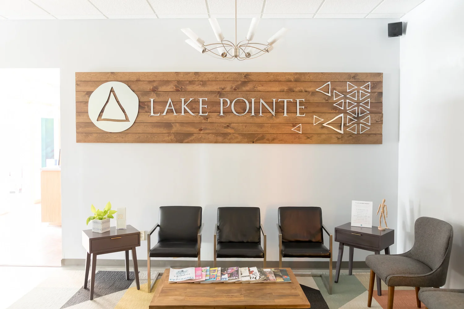 Holistic Medicine in Minneapolis, MN | Lake Pointe Wellness