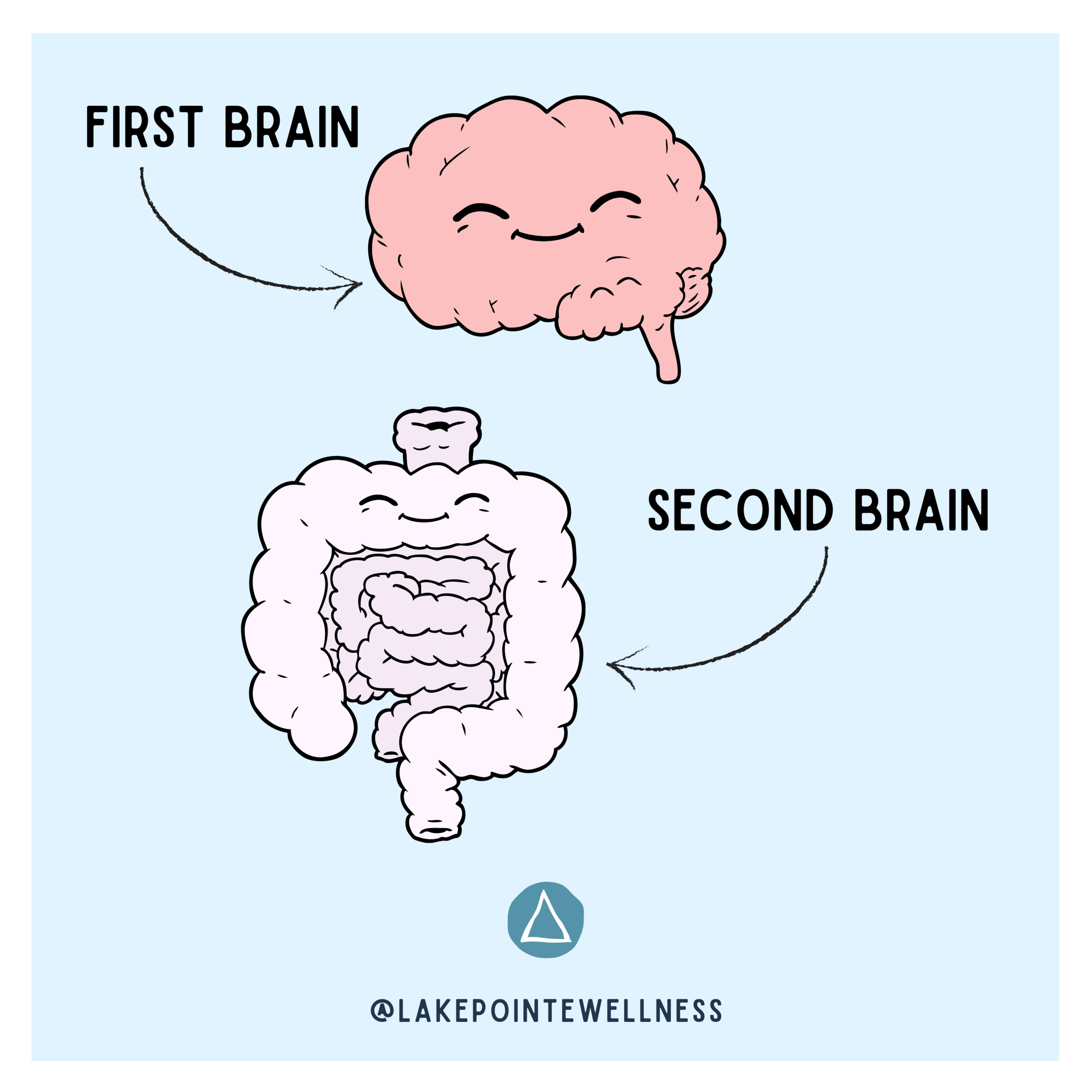Be Regular Your Second Brain Lake Pointe Wellness Minneapolis Mn
