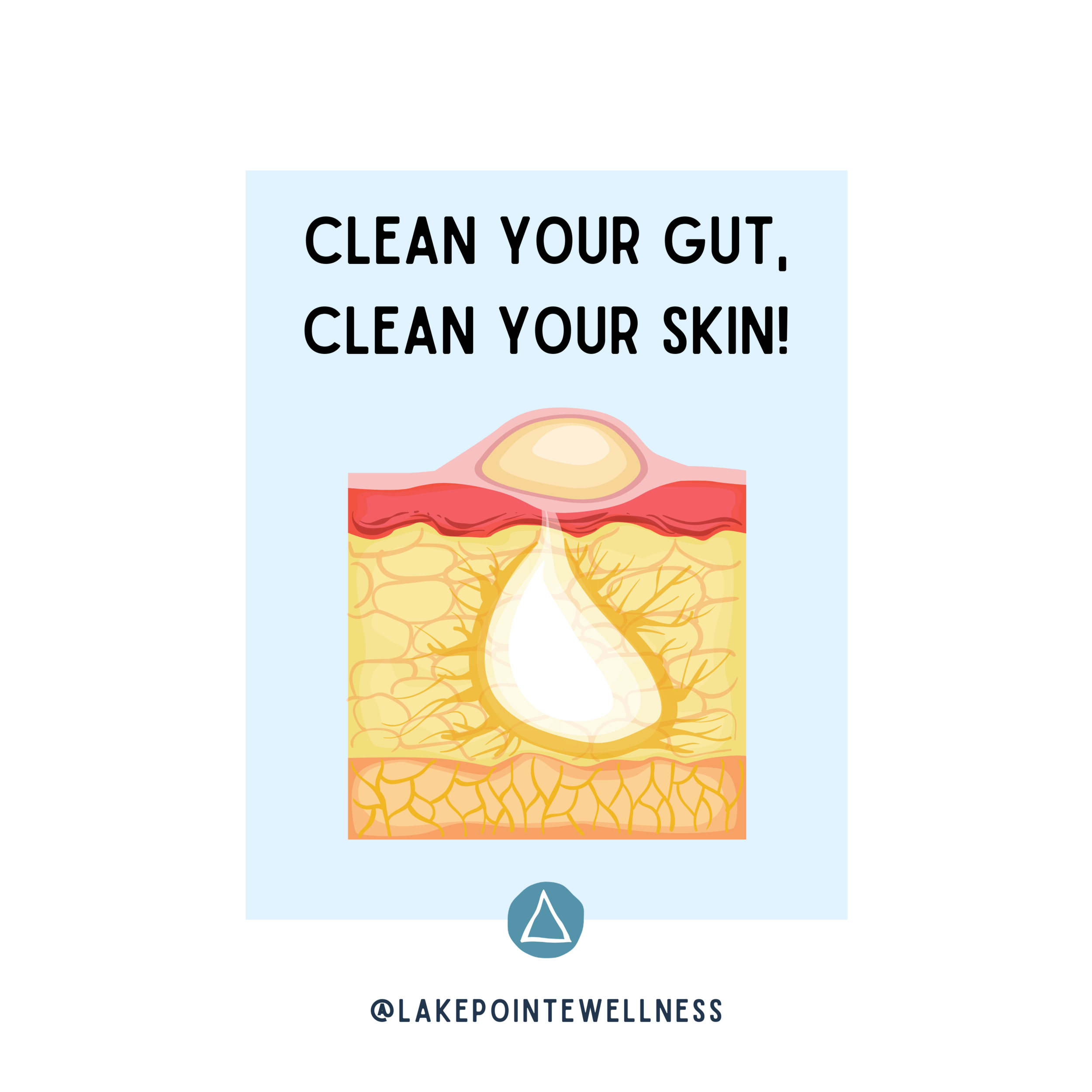 Be Regular: Clean Your Gut, Clear Your Skin | Lake Pointe Wellness ...