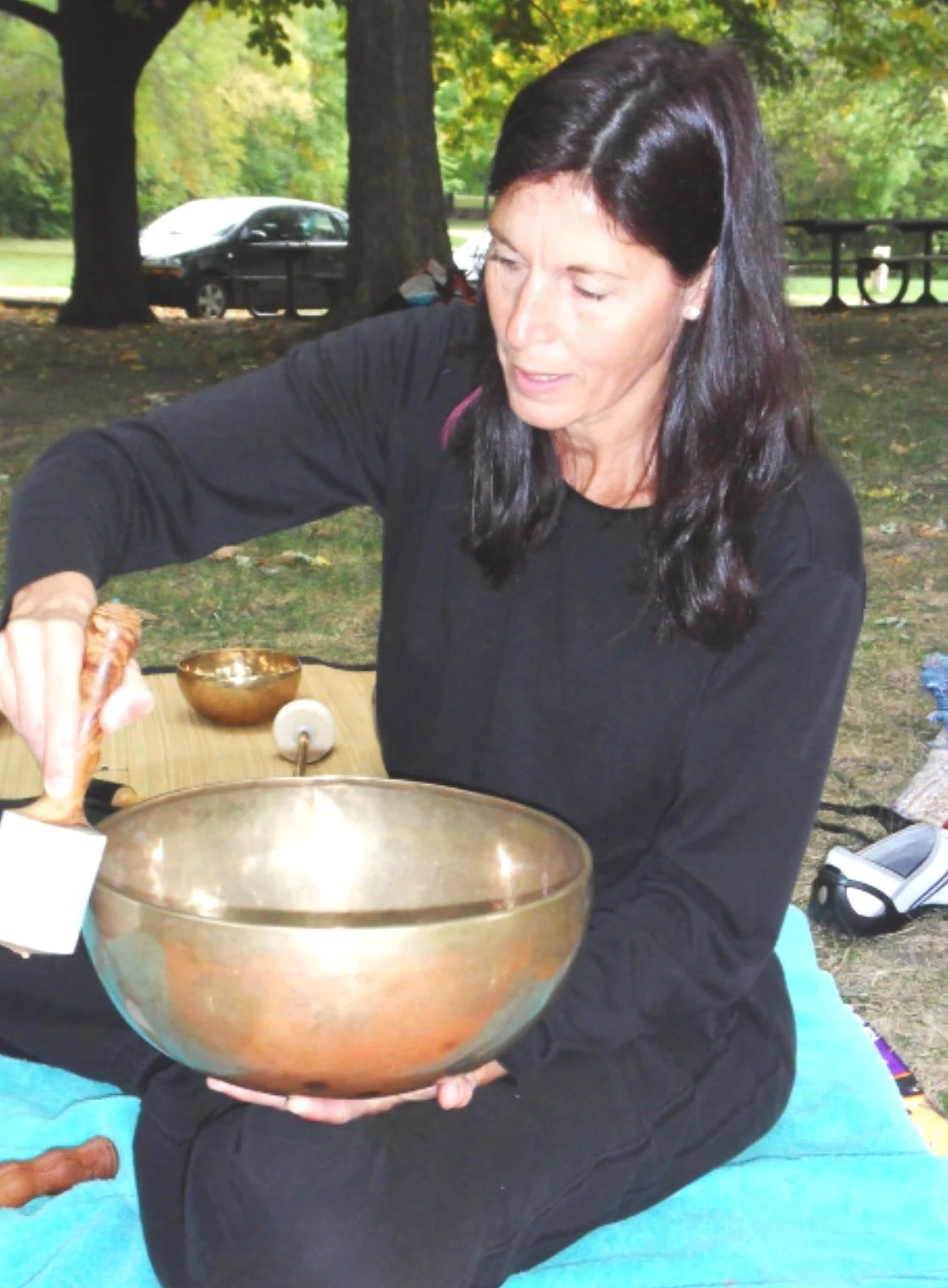 Traditional Chinese Medicine in Minneapolis, MN | Lake Pointe Wellness ...