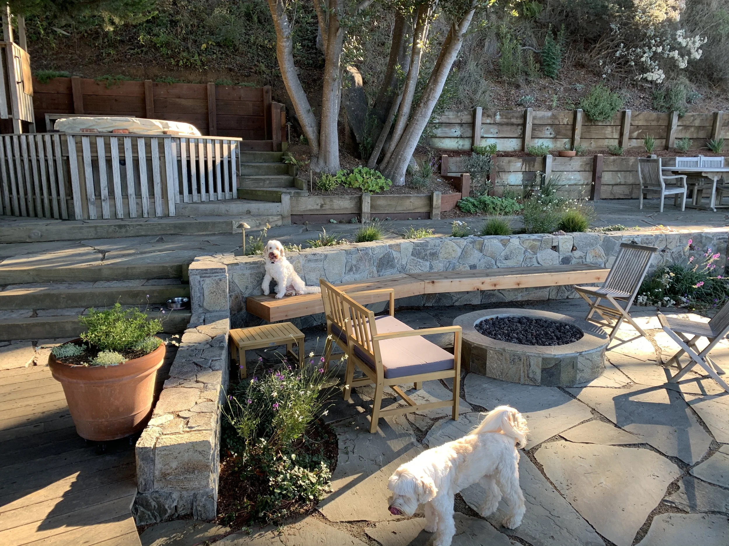 Daphne Edwards Landscape Architecture — DELA, Inc.