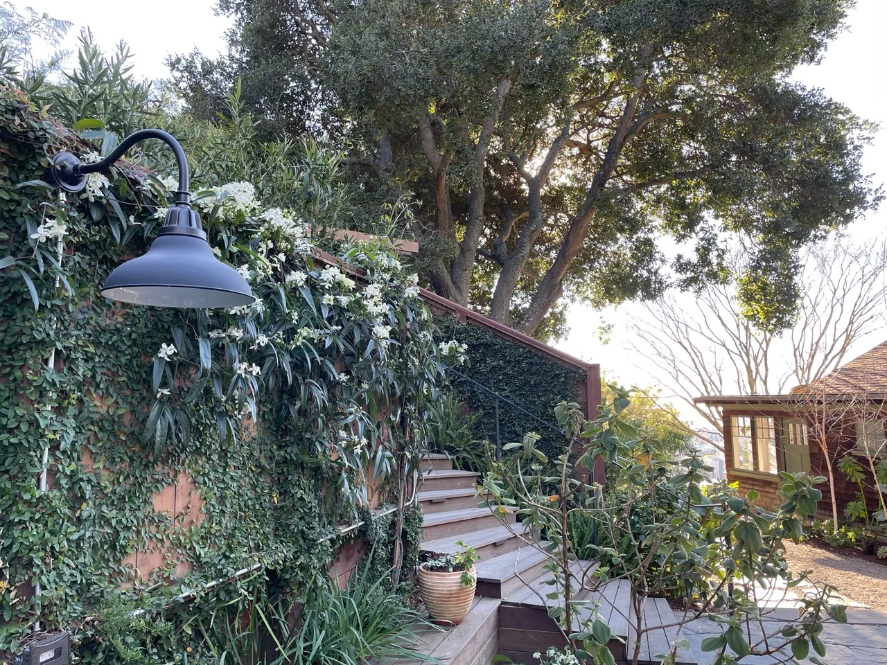 DELA, Inc. - Daphne Edwards Landscape Architecture