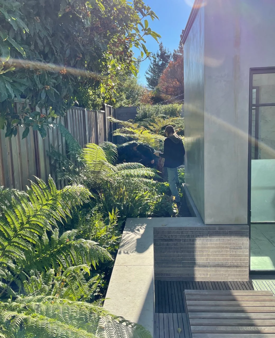 DELA, Inc. - Daphne Edwards Landscape Architecture