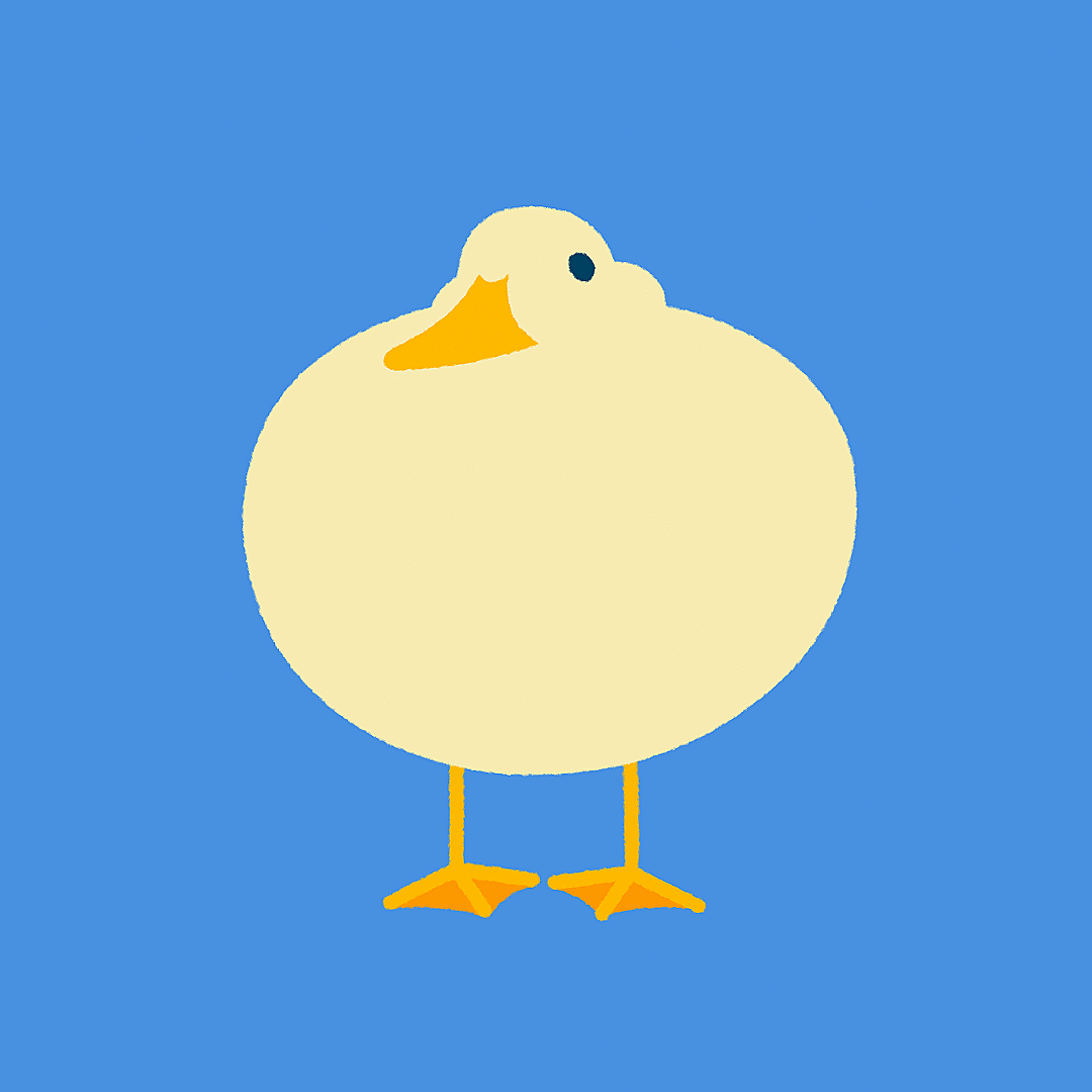 Animation and Illustration by Katya Ross — Katya Ross Studio