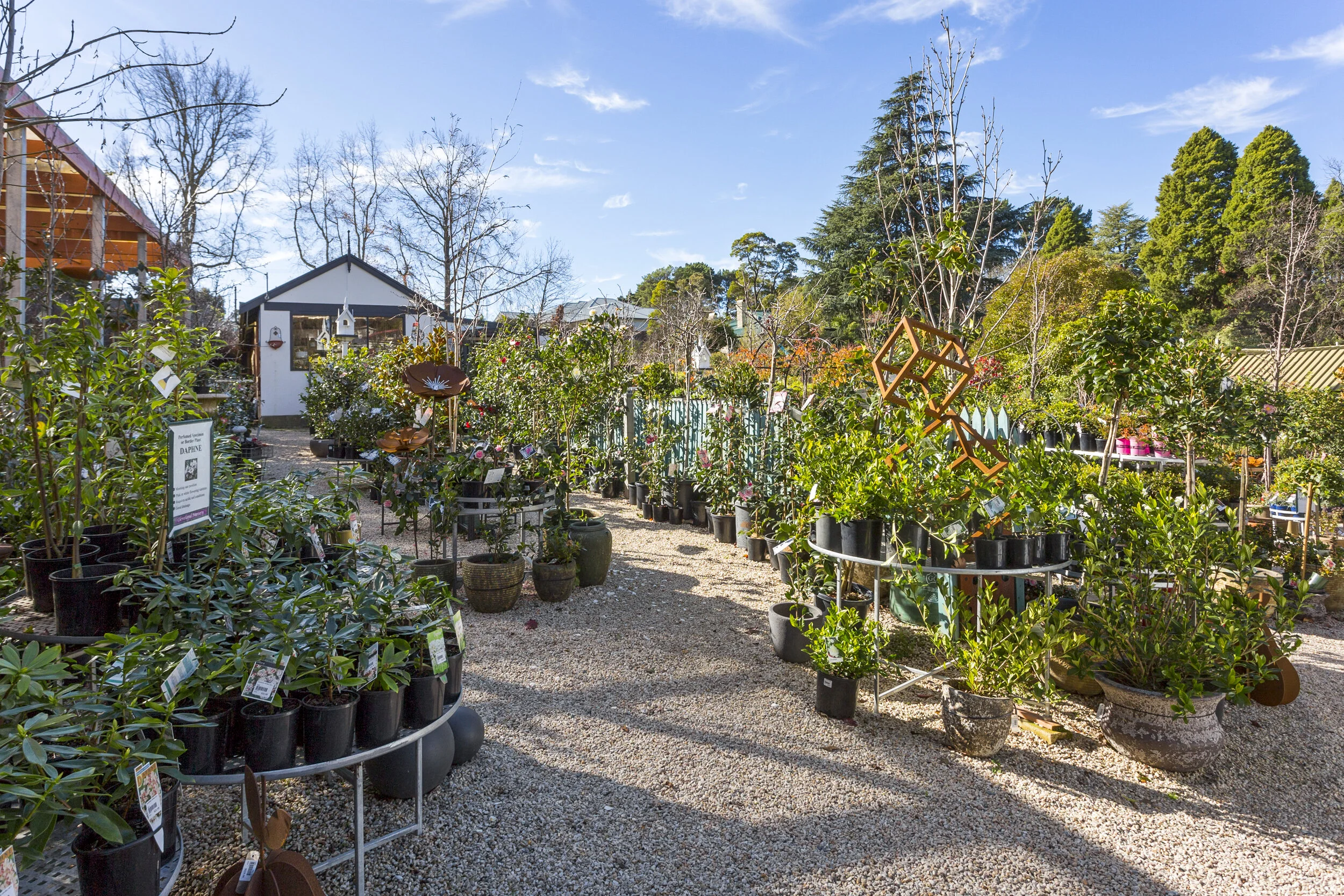 Plant Nursery — Cleveland Nursery