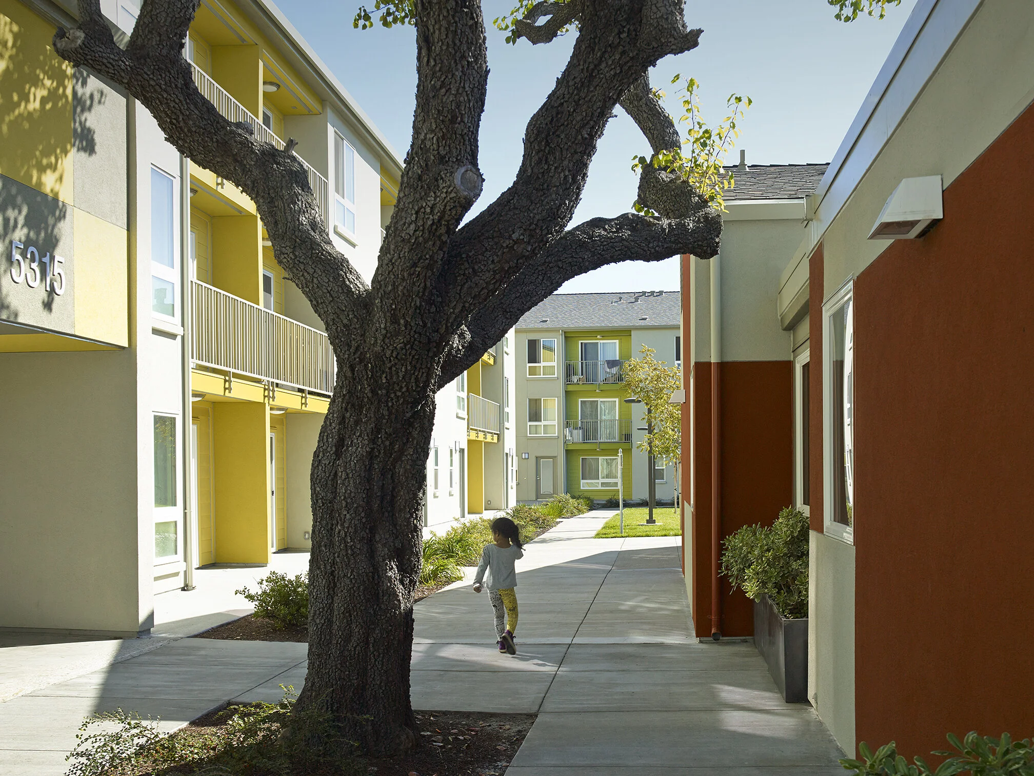 Salazar Architect - Roots | Salazar Architect, Inc.