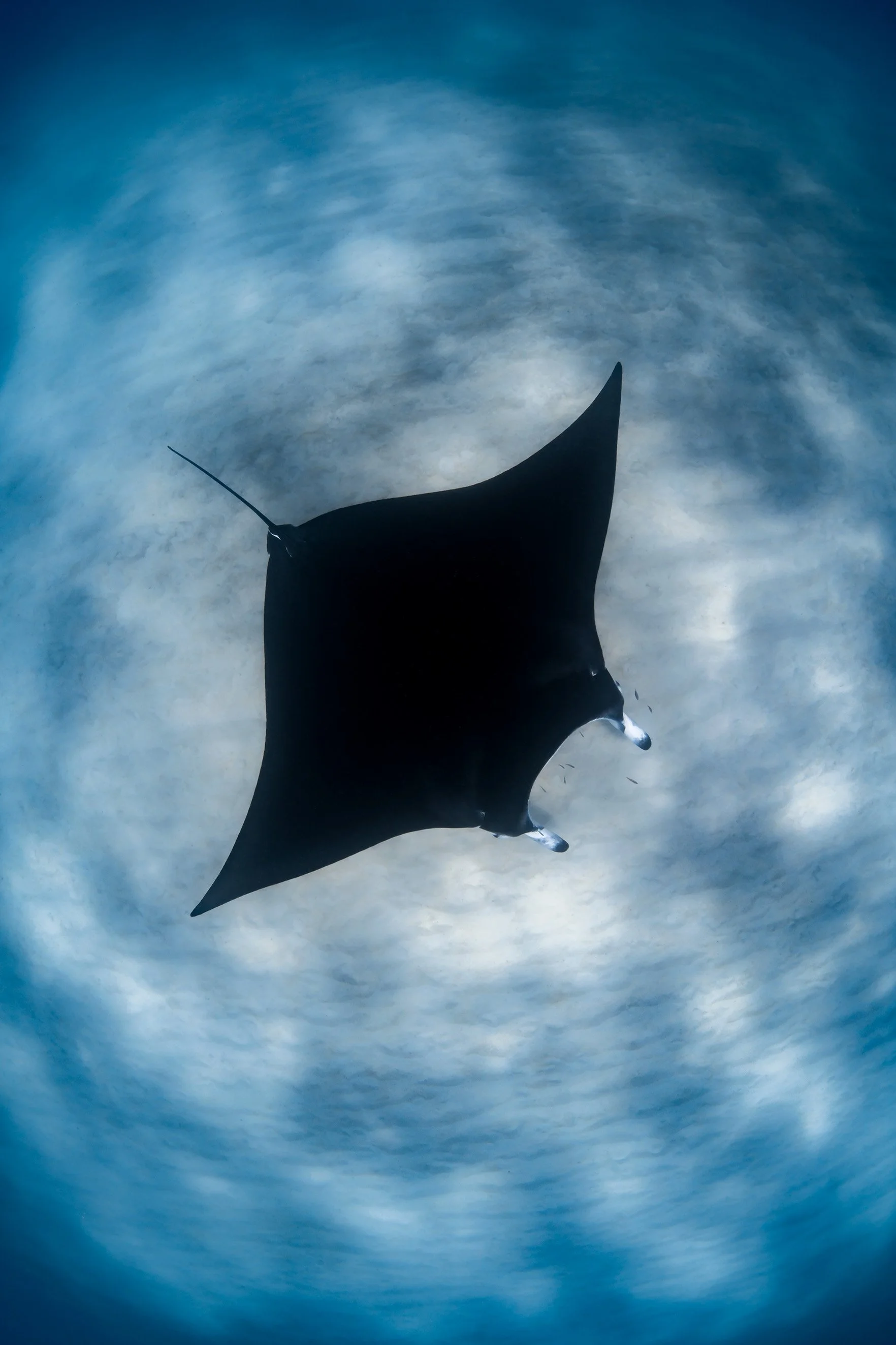 Jake Wilton | Award Winning Photographer | Australia - Store 2