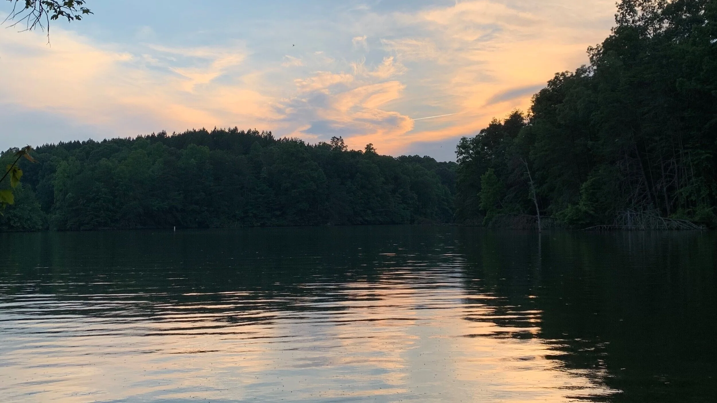 Belews Lake Information — COLDWATER