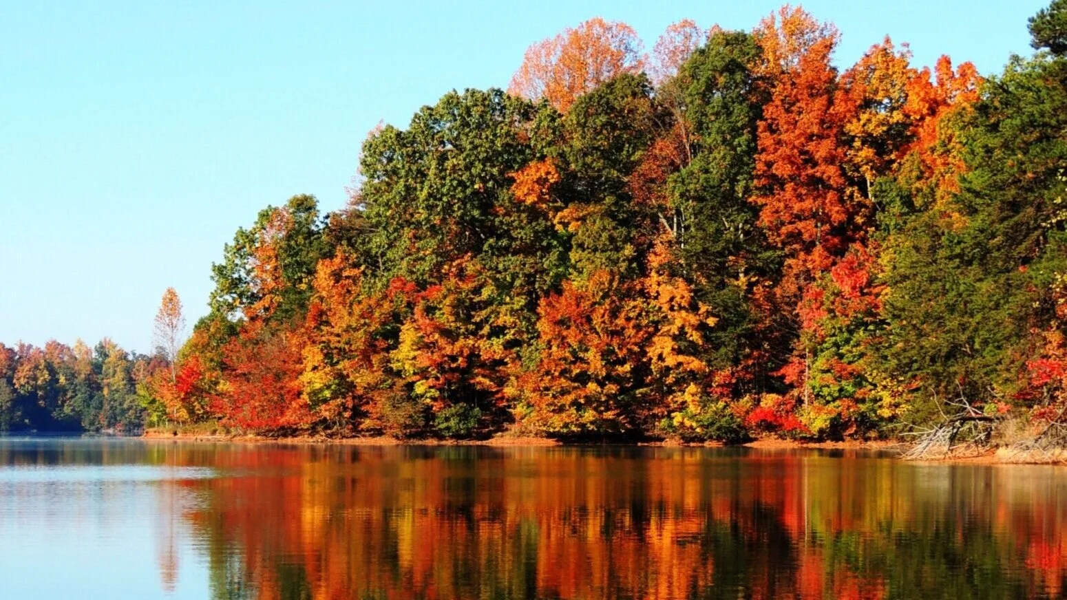 Belews Lake Information — COLDWATER