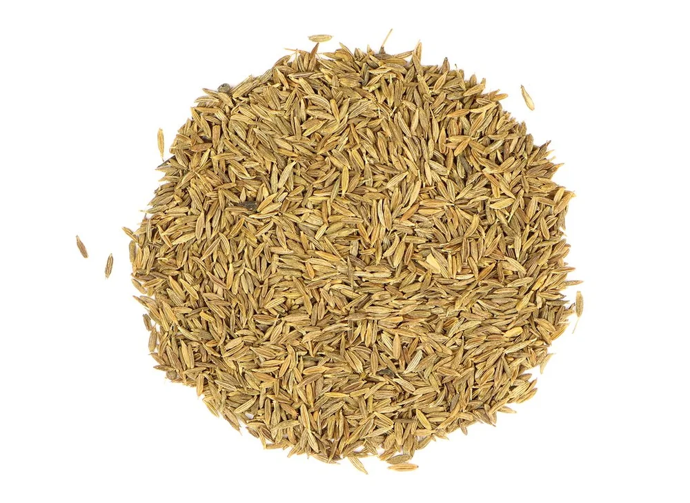 ORGANIC FENUGREEK SEED — ShopEverythingz.com