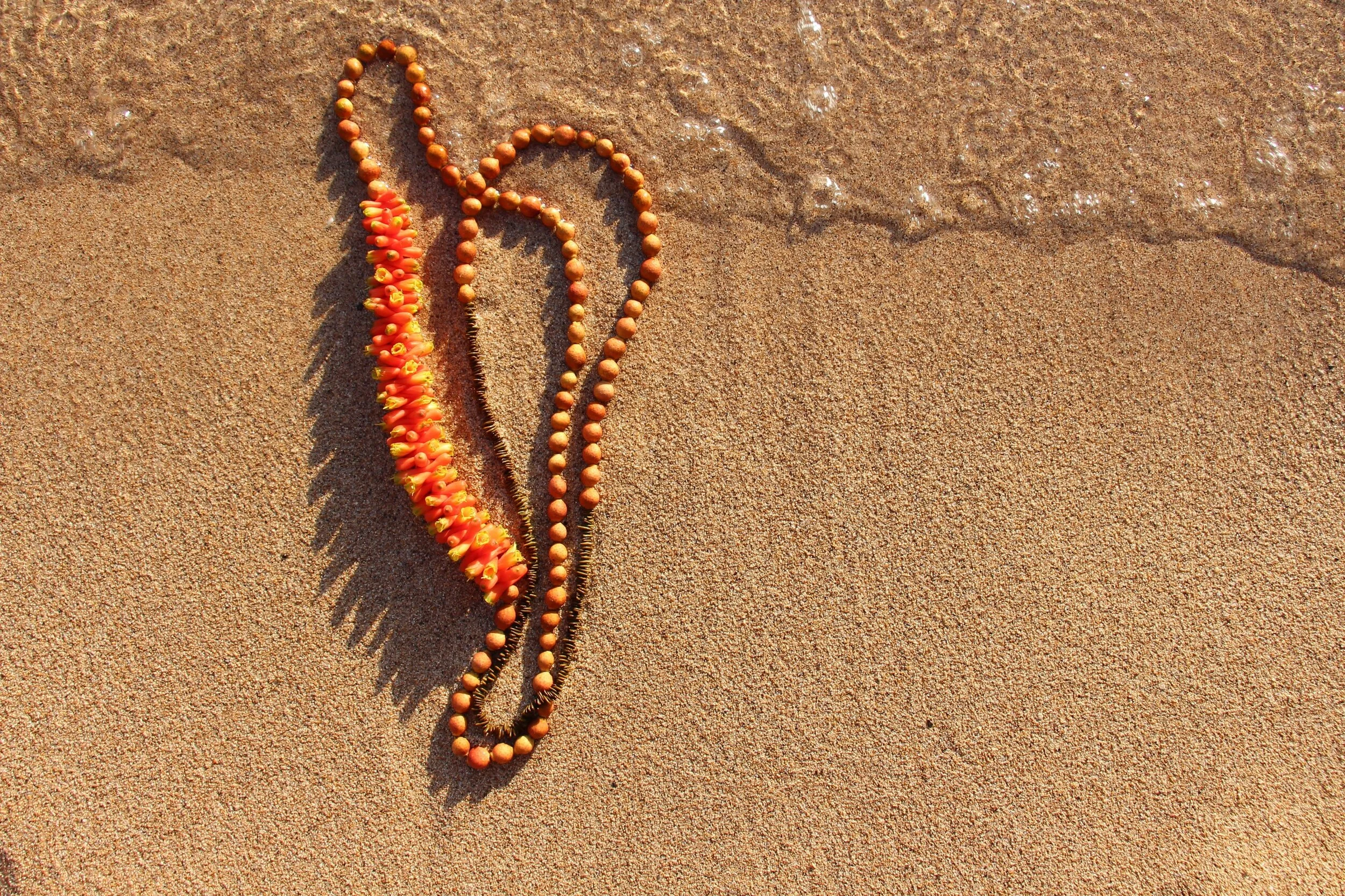 Hawaii Flora + Fauna