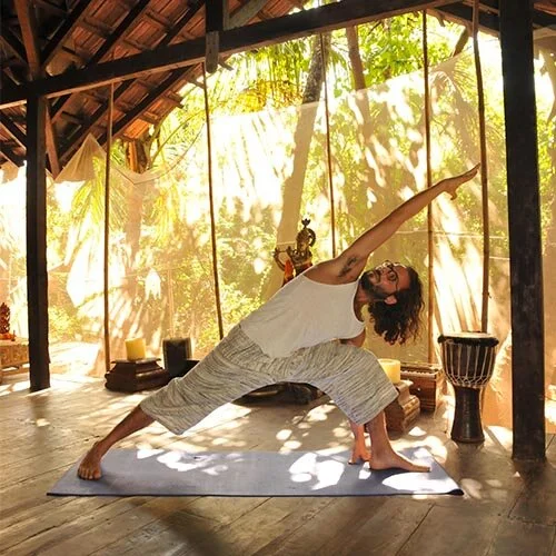 What is Elemental Yoga Therapy and How Does it Work? — YOGA HEALING NATURE